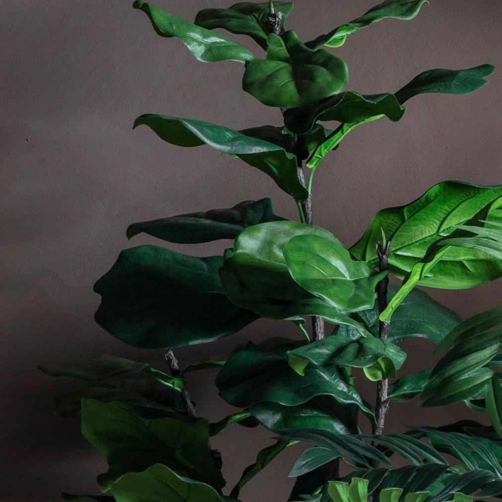 Small Faux Fiddle Leaf Fig Tree | Artificial Trees & Plants - Nicky Cornell