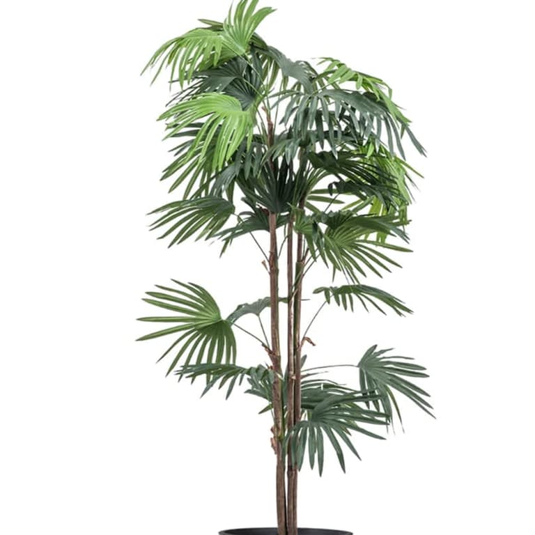 Large Faux Chinese Fan Palm Tree | Luxury Artificial Trees - Nicky Cornell