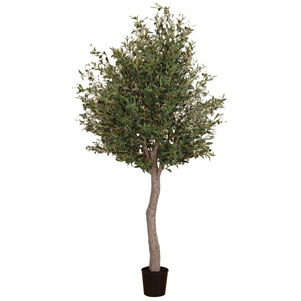Artificial Giant Tall Olive Tree in Pot - Nicky Cornell