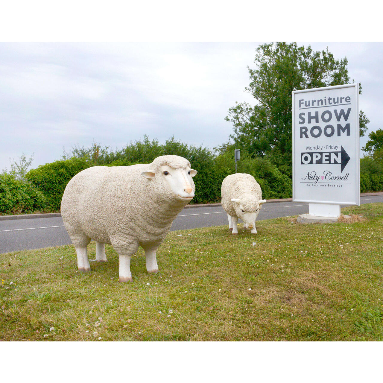 Life Size Sheep Statue - Nicky Cornell