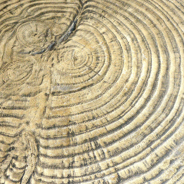 Eco Light Brown Wood Stool - Nicky Cornell
